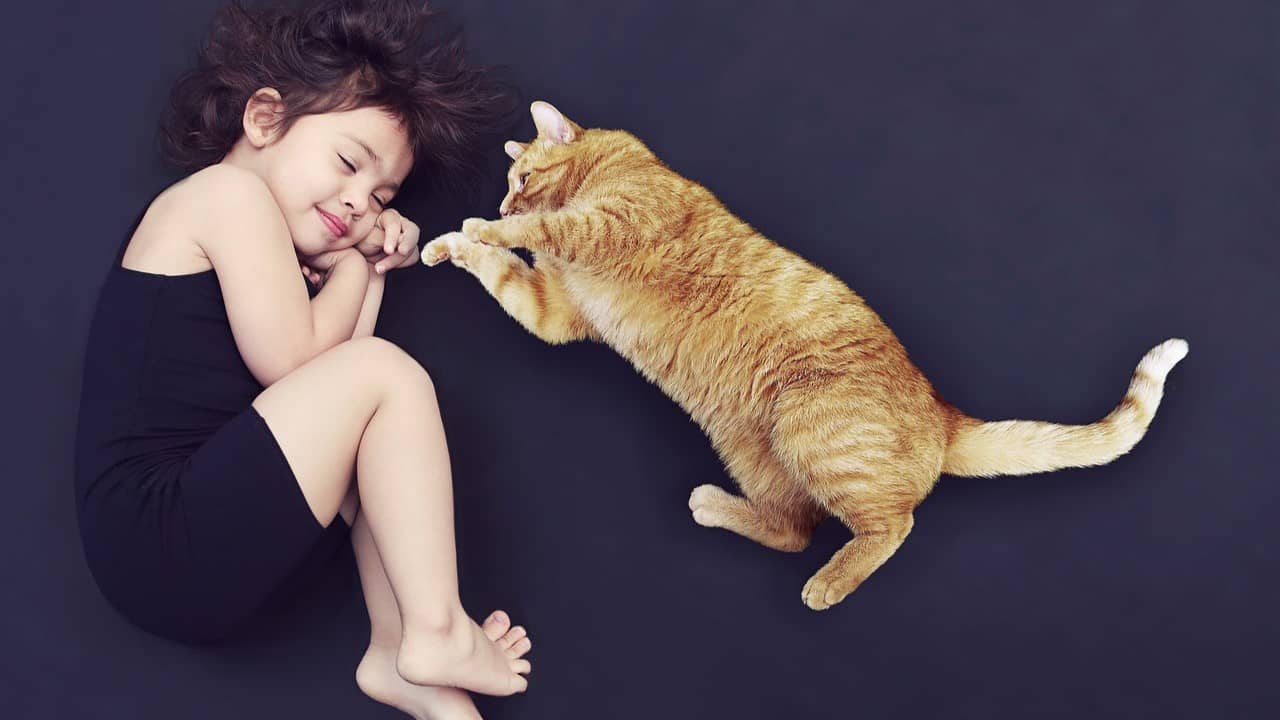 Introduire un chat avec ses enfants : comment faire