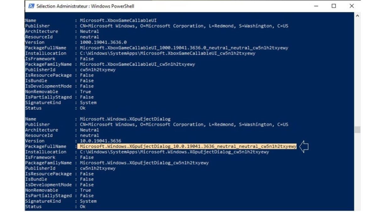 Désinstaller les programmes sur Windows : le Guide