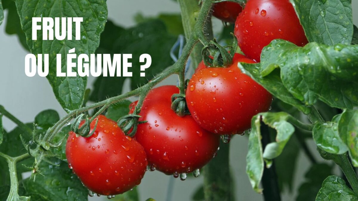 La tomate est-elle un légume ou un fruit ? Beaucoup se trompent