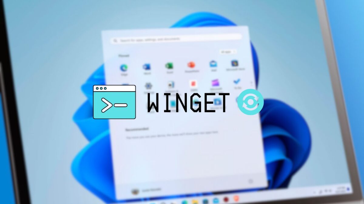 Pilotes Windows 11 : Installation et mise à jour manuelle