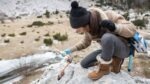 Comment devenir zoologiste ? Fiche métier, salaire, études