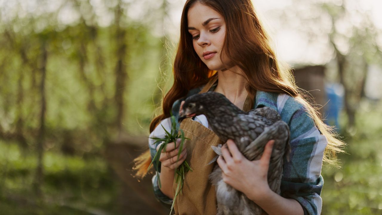 Comment devenir zoologiste ? Fiche métier, salaire, études